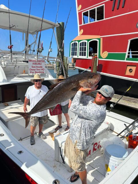 Texas Greater Amberjack Season Reopens May 1, 2024 - Deep Sea Headquarters