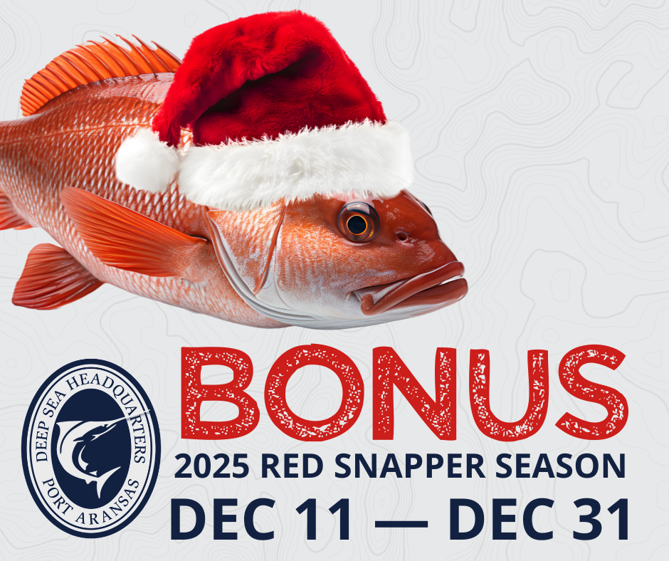 Red Snapper Season Reopens for December. What You Need to Know Before ...